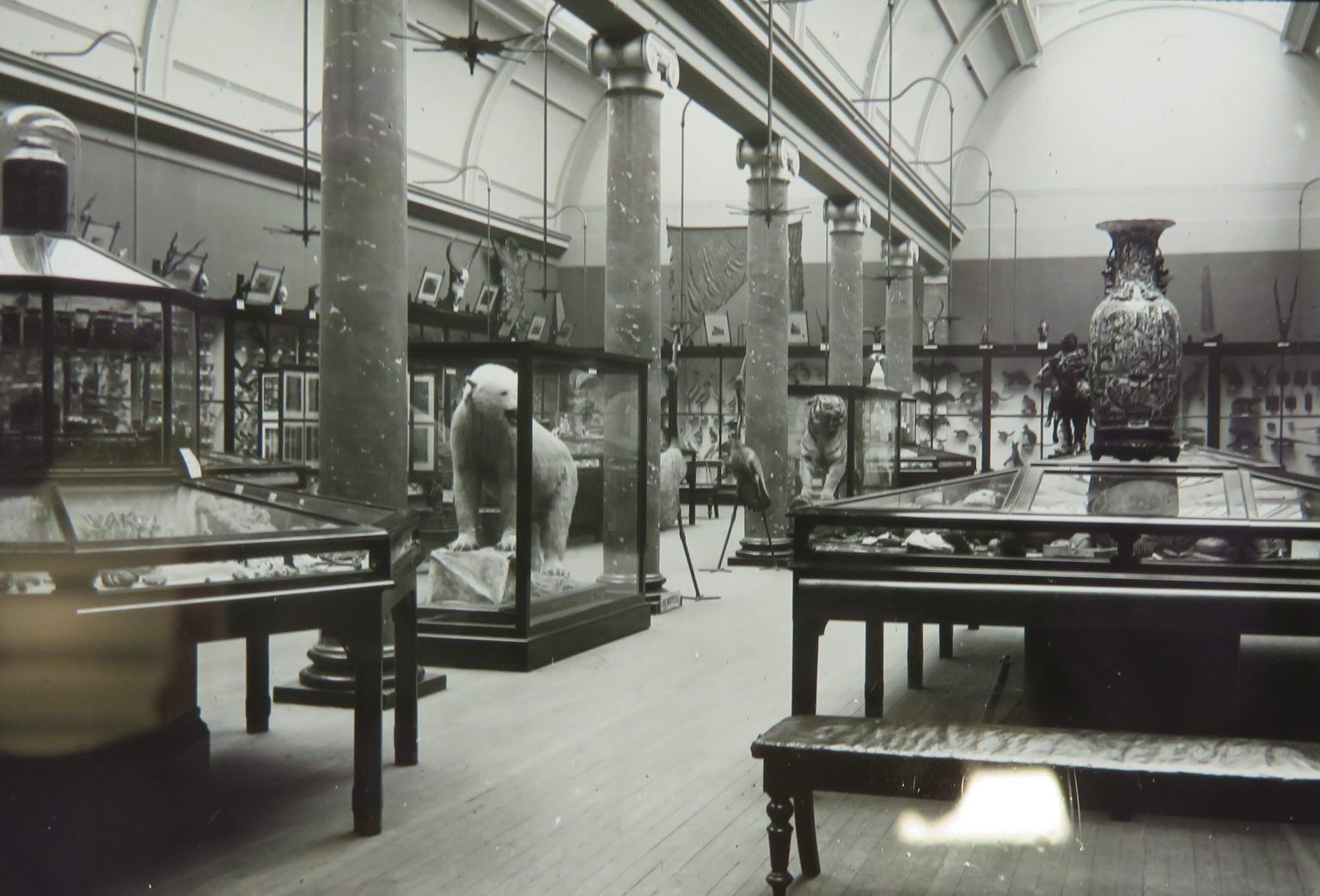 Grown over time - how the museum has expanded.... | Paisley Museum ...